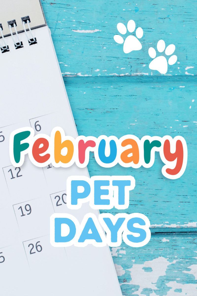 February Pet Days - National Pet Days February Pet Days - National Pet Days