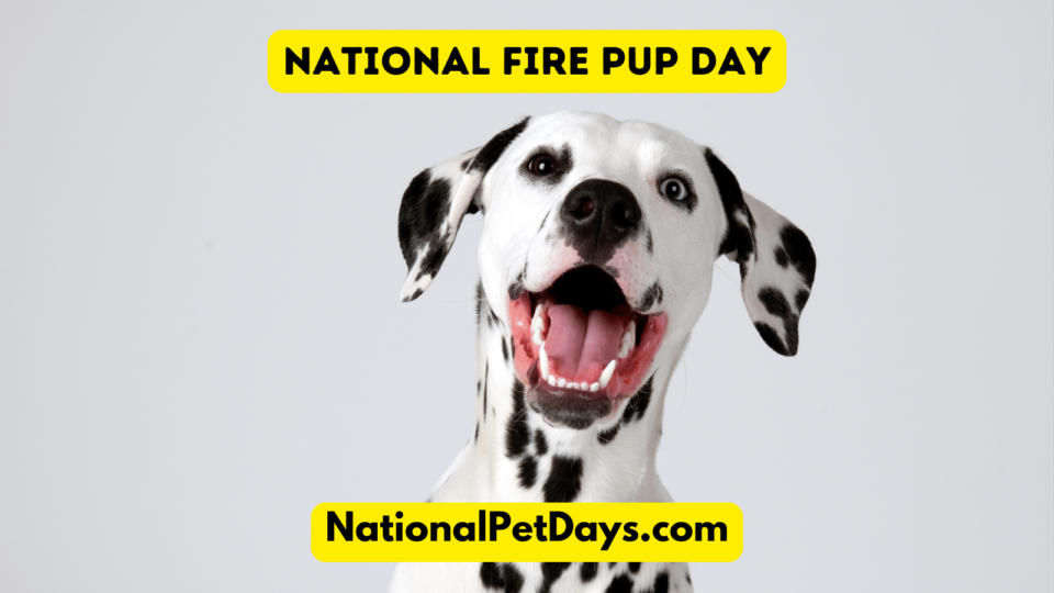 National Fire Pup Day - National Pet Days
